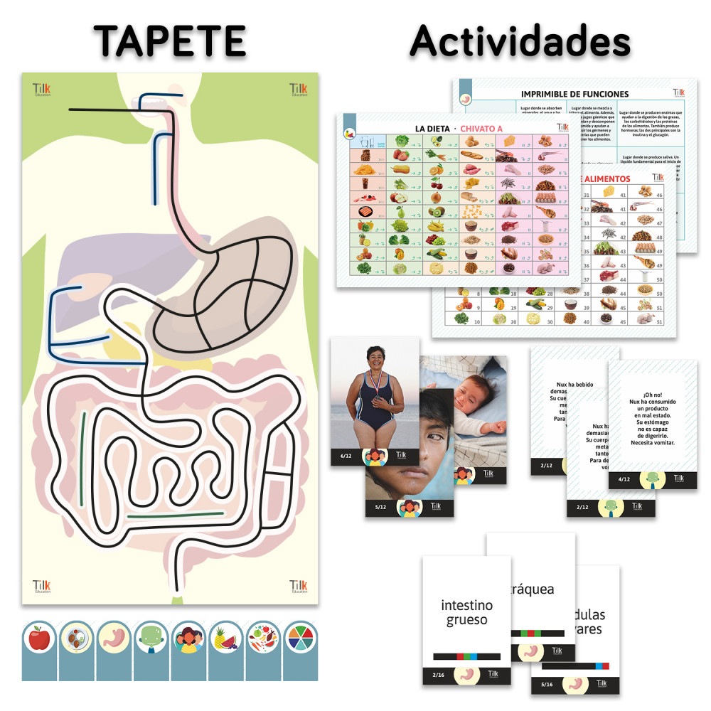 APARATO DIGESTIVO Tapete y actividades - Xplora360 - Robótica Educativa ...